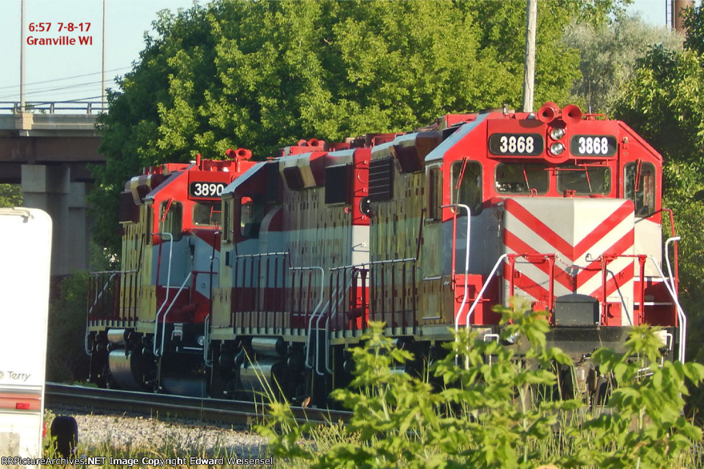 Trio of geese won't sleep all of Saturday away